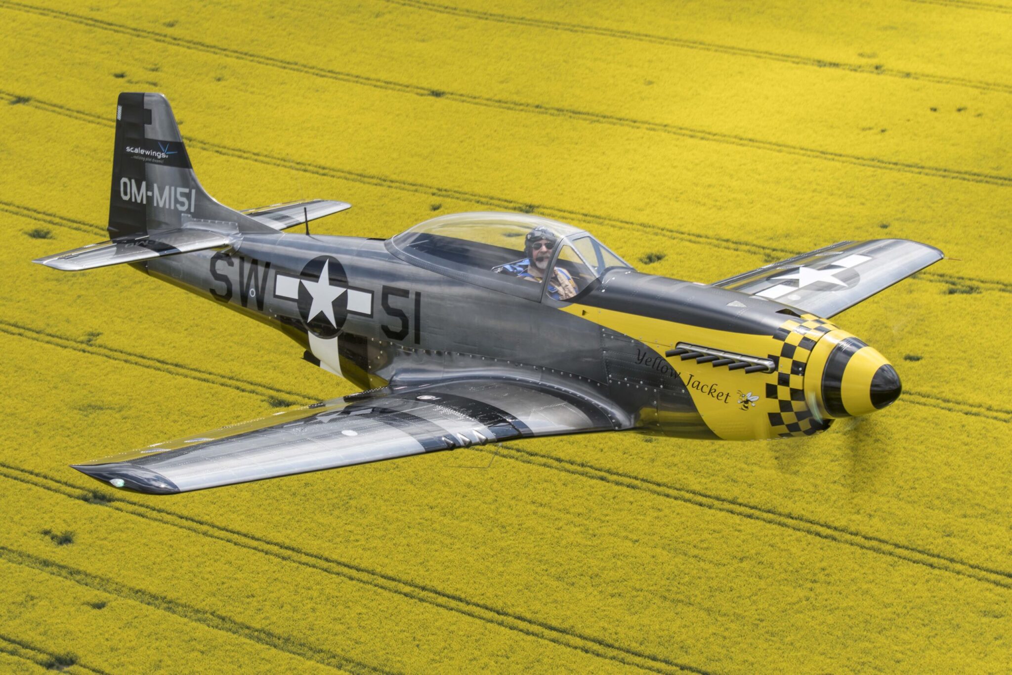 Juli 2021: ScaleWings SW-51 Mustang replica • Piloot & Vliegtuig